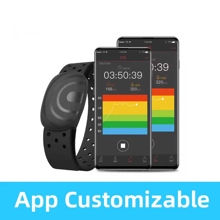 HW702 Sport Fitness Tracker - Heart Rate Monitor Armband