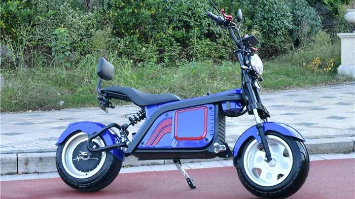 Best Selling 12 Inch Fat Tire Citycoco 3000w 60v 55ah Lithium Battery ...