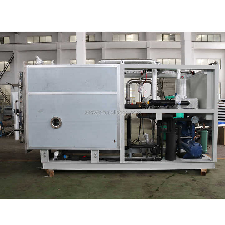 Freeze Dryer Machine - Efficient Industrial Lyophilizer