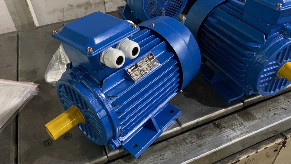 Eastop Three Phase Motor 380 Volt - High Efficiency Motors