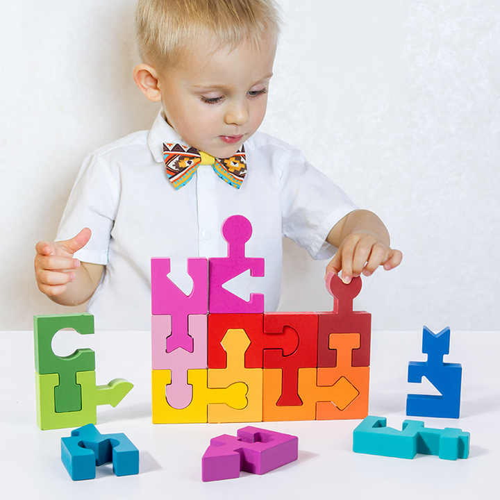 Montessori Wood Geometric Shape Matching Blocks Hand-Eye Coordination ...