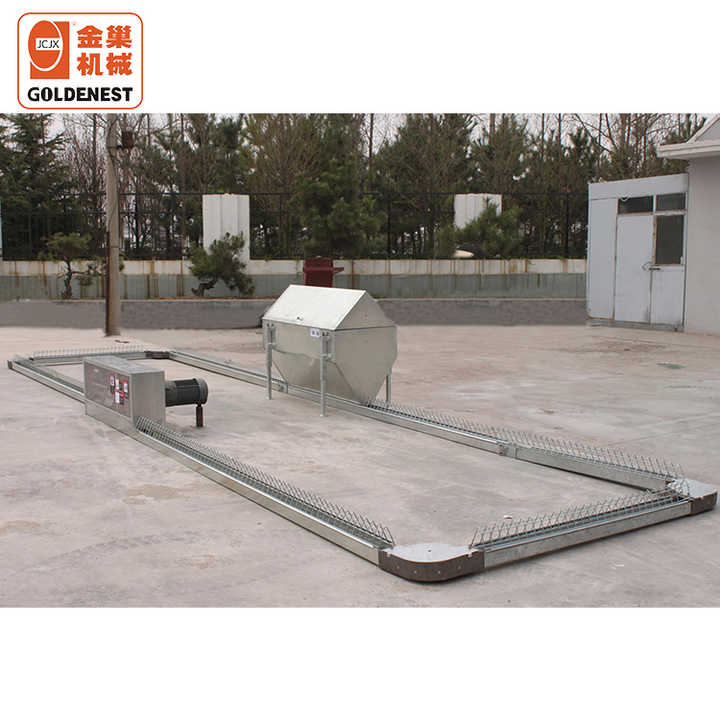 Female Breeder /laying Hen Chicken Use Chain Feeding Line System ...