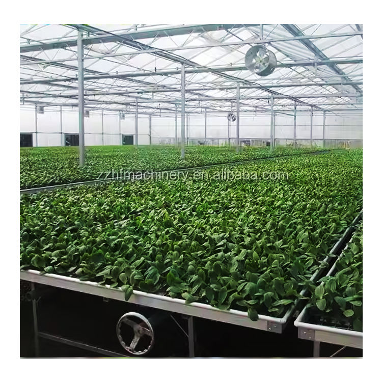 HUIFA Greenhouse Rolling Benches - Ideal for Seed Nursery