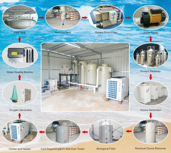 Cultivo de camarones Ras, equipos de acuicultura, sistemas RAS ...