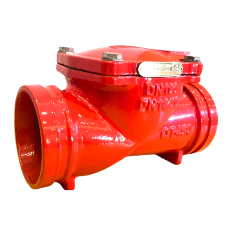 DN65 Manual Spring Check Valve with Grooved Rubber Flap PN16 ISO9001 ...