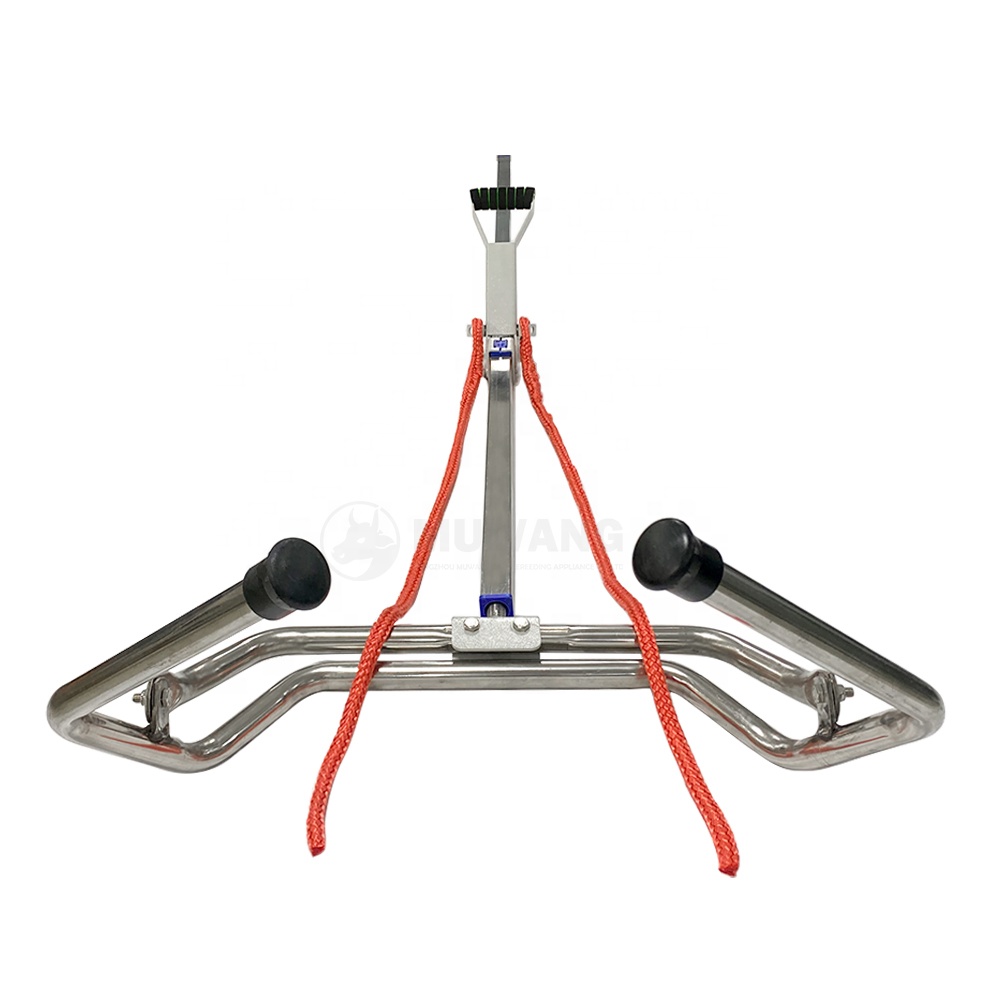 Promoción spanish, Compras online de spanish promocionales, ternero ...