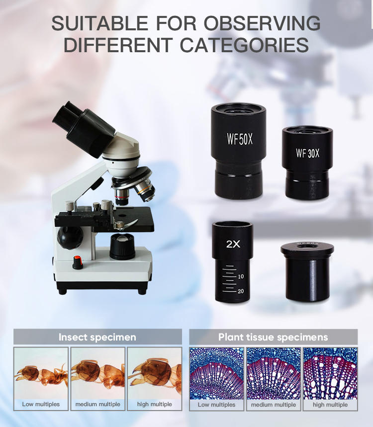 Custom Binocular Laboratory Microscope Adjustable Biological Stereo ...