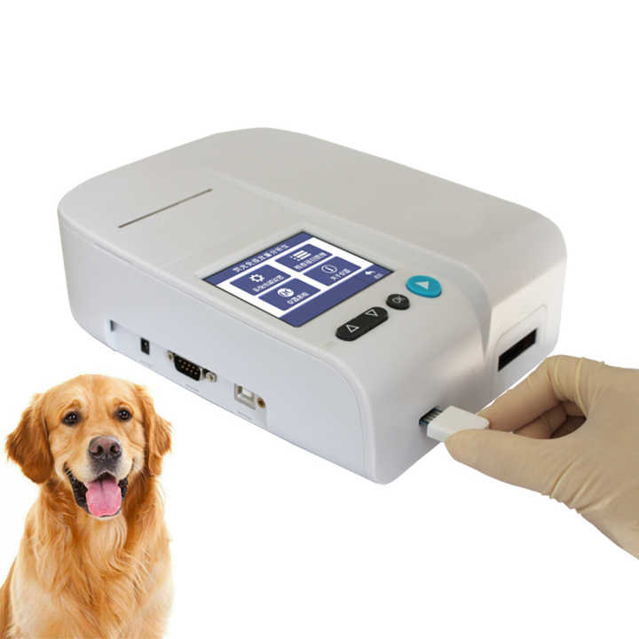 Canine Progesterone Rapid Test Kit - Vet Use & Diagnostics