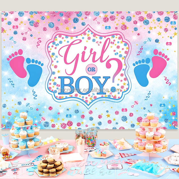 Gender Reveal Background Backdrop Vinyl Boy or Girl Party