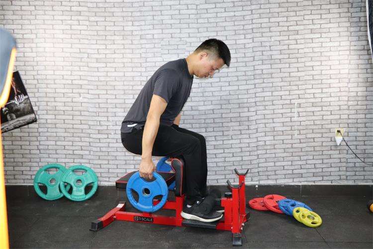 How to Choose the Best Small Leg Press Machine for Home Gyms