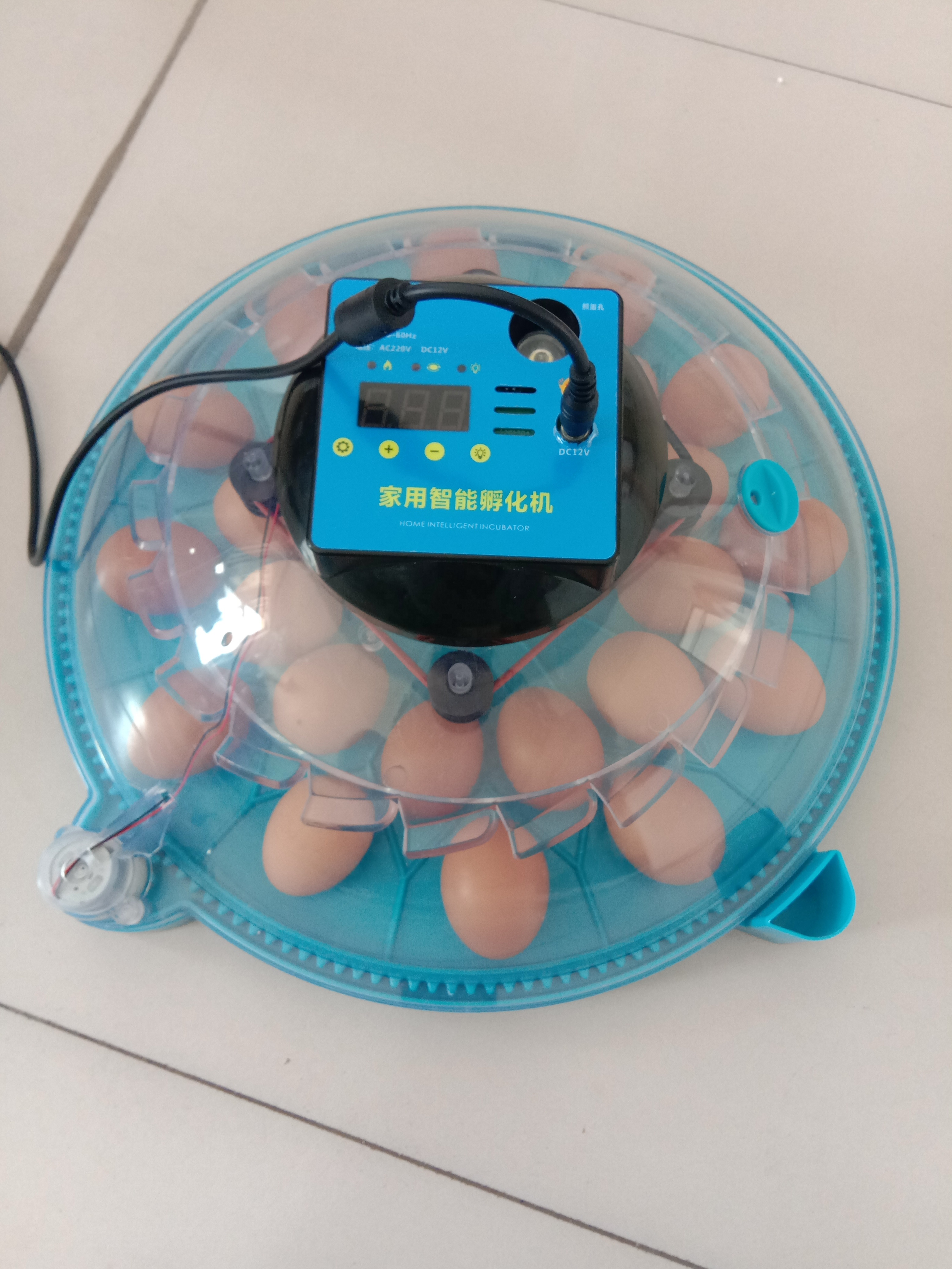 Egg Incubators - Efficient Hatching Solutions for Poultry