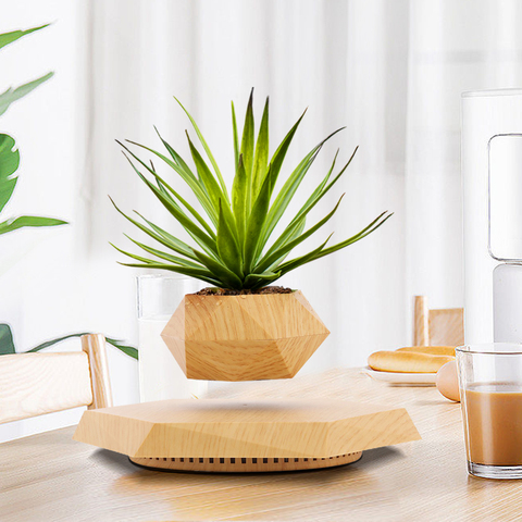 Magnetic Levitating Plant Pot Floating Plant Magnetic Levitation ...