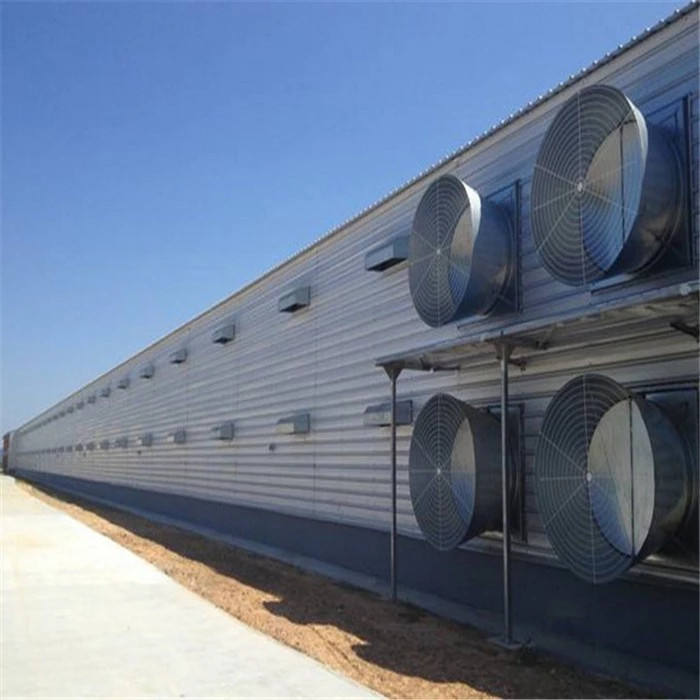 Poultry House Farming Laying Broiler Chicken Cage Steel Structure ...