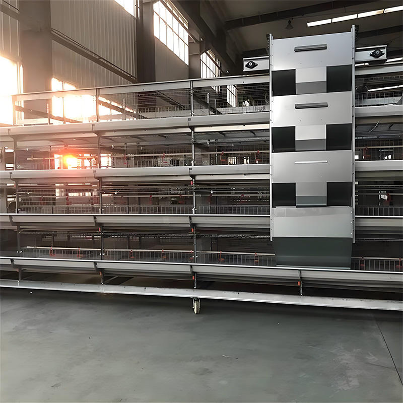 Fully Automatic H Type Battery System for Poultry Farming New Condition ...