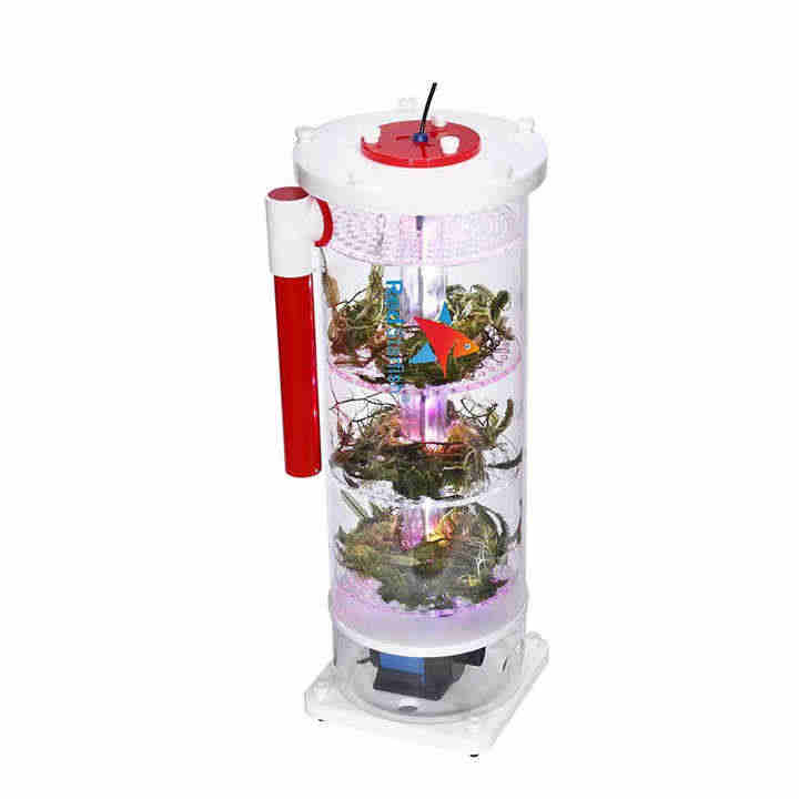 OEM Aquarium Algae Reactor - Sustainable Chlorella Growth