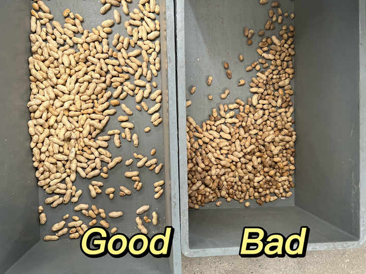 Nut Color Sorter Machine for Nuts Sorting AI Color Sorting Machine ...