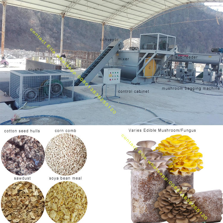 Mushroom Matrix Bagging Machine/Edible Fungus Planting Production Line ...