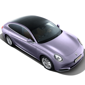 2022 Electric Car Ora High Speed Lithium Battery Fast Charge Electric Car