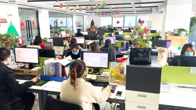 Buy Red Sandalwood Plant Extract & Artificial Trees | Premium Suppliers