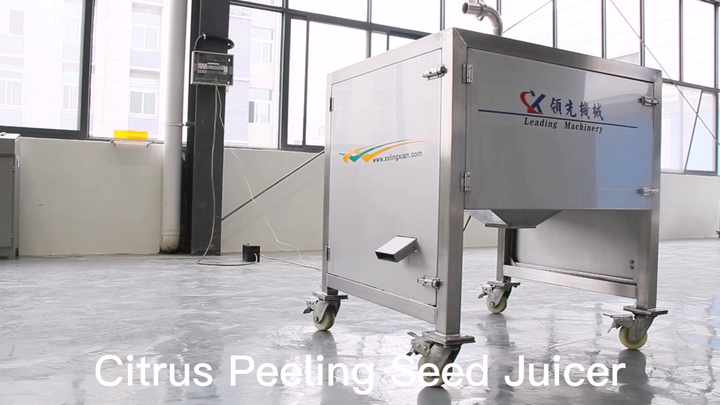 304 Stainless steel Grape Deseeder and Peeler Machine, 2T/H grape seed ...