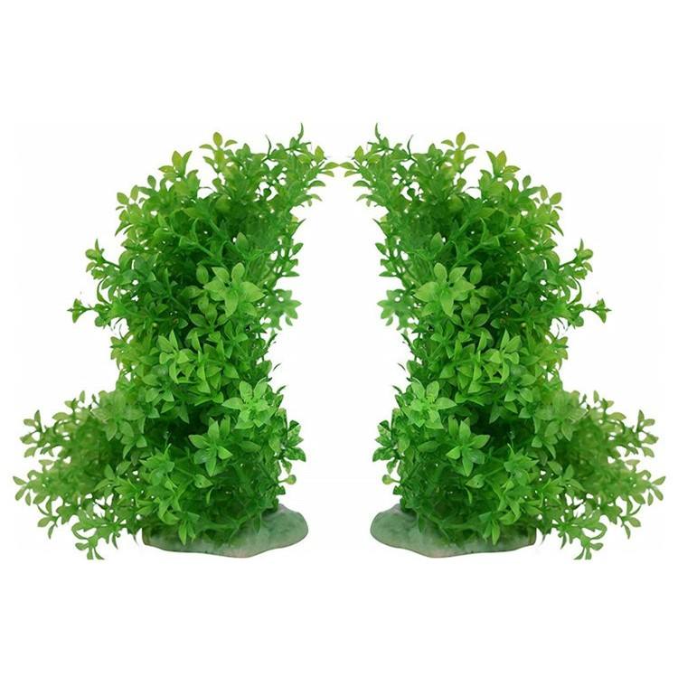 How to Choose the Best Aquarium Botanicals for Your Tank