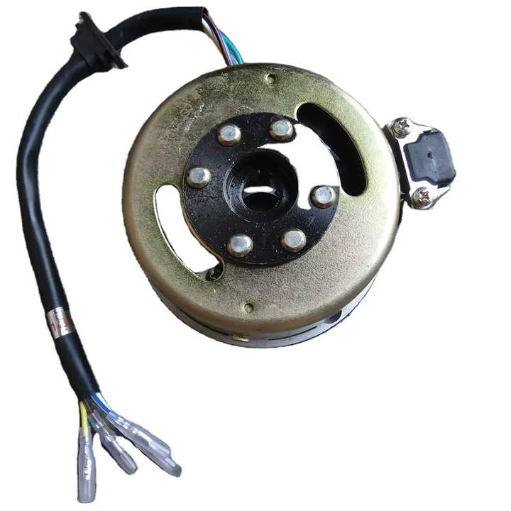Motorcycle AC Ignition Magneto Stator Magneto Flywheel Kit for Lifan LF ...
