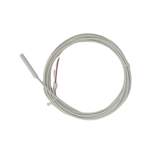 Ceramic Element RTD PT100 - High Accuracy & Reliable