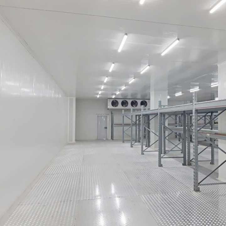 Large Walk-In Cooler Freezer Room for Frozen Chicken Competitive Price ...