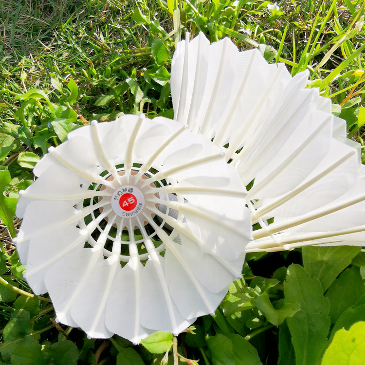 How to Choose the Best Competition Shuttlecock for Performance and ...