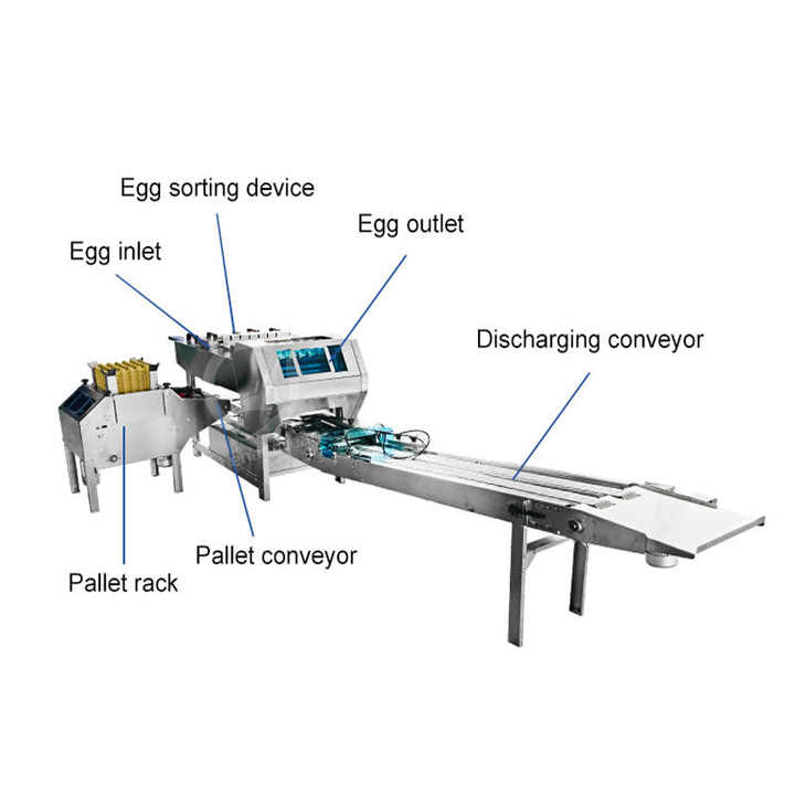 OCEAN Egg Grading Pack Machine Egg Farm Packer Automatic Chicken Egg ...