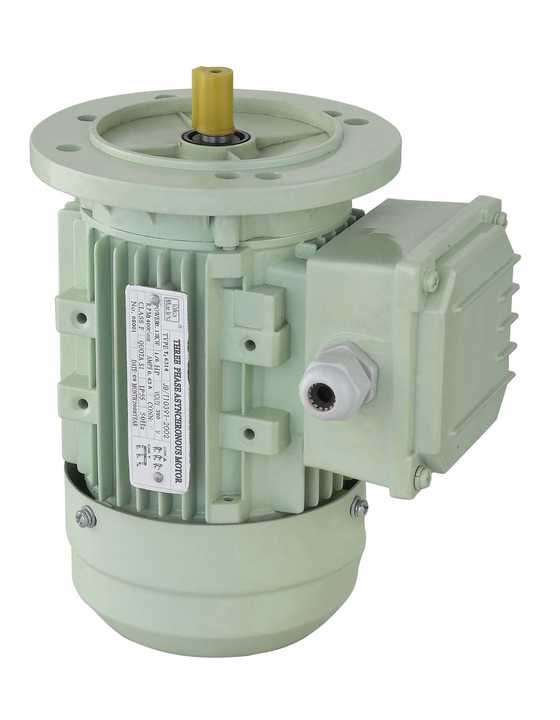 YE2-80M1-2 3-Phase AC 2-Pole Induction Motor 1HP 0.75KW Cast Iron Factory-Sold 220V/380V Motors ...