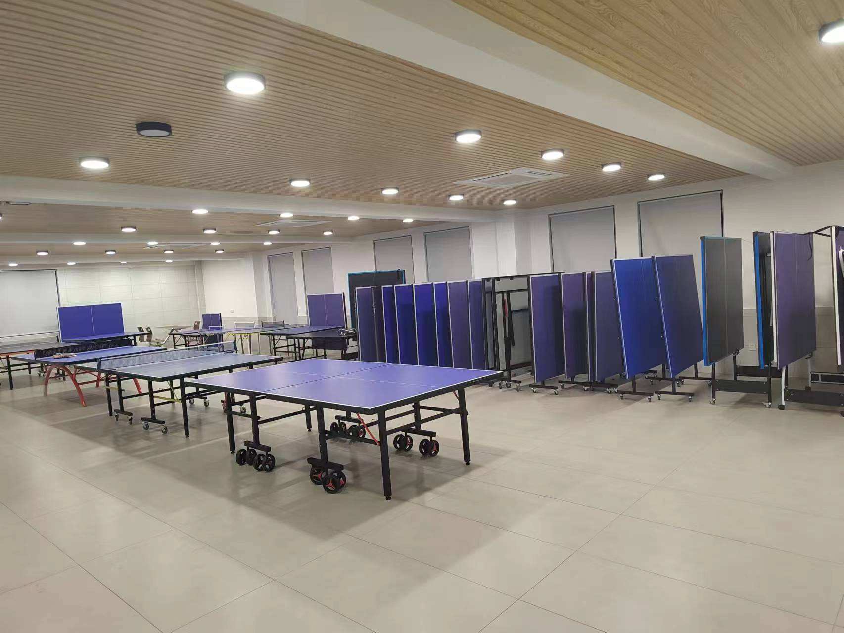 How to Choose the Best Outdoor Table Tennis Metal Tables: Buying Guide