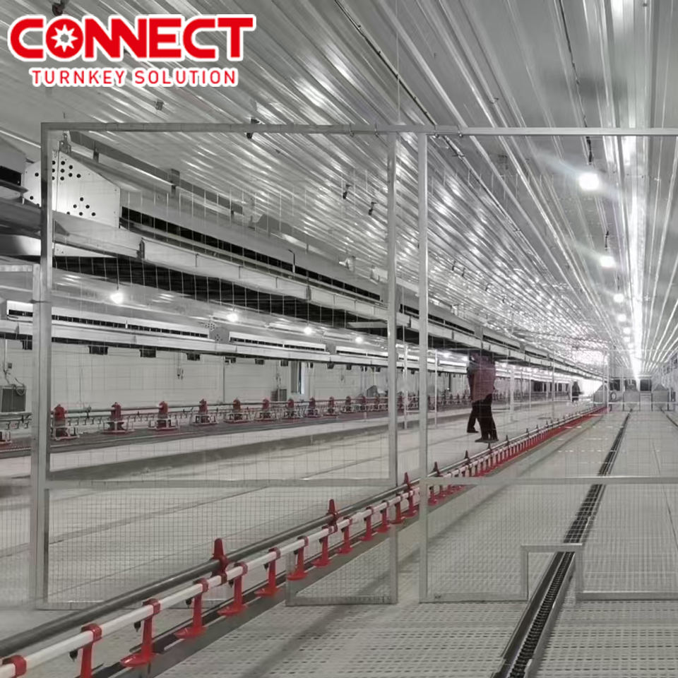 Large Poultry Farm HenHouse Plant Automatic Broiler Ground Feed Line ...