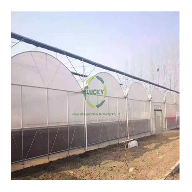 Multi-span Greenhouses for Snail Farming - Smart Agriculture