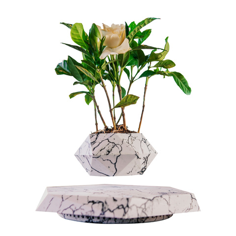 Magnetic Levitating Plant Pot Floating Plant Magnetic Levitation ...