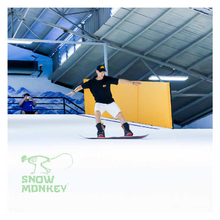 High-Quality Artificial Ski Slope Mat for Indoor Snowboarding and ...
