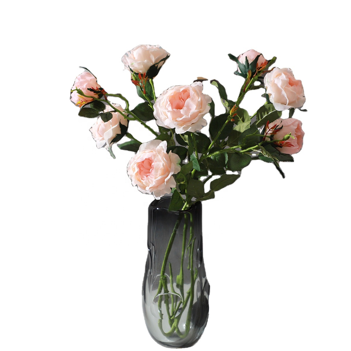 David Rose Flower