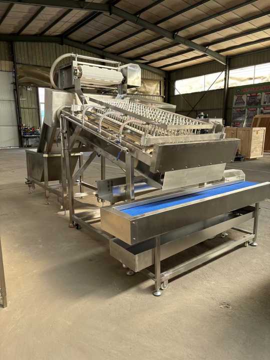 High Production Shrimp Peeler Automatic Prawn Peeler Sheller Penaeus ...
