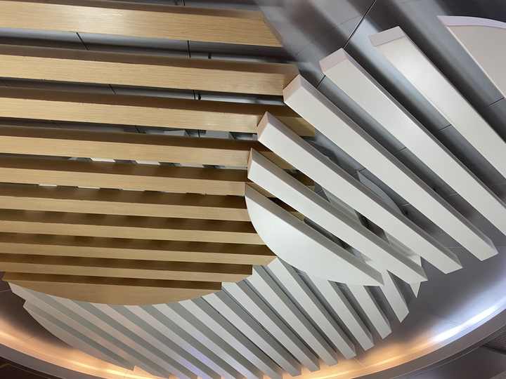 Aluminum Curved Pop Interior Ceiling Designs - Special Wave