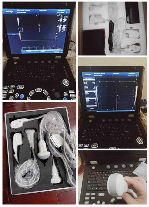 4D Cardiac Echo Ultrasound Portable Laptop CW PW Veterinary Pet Color ...