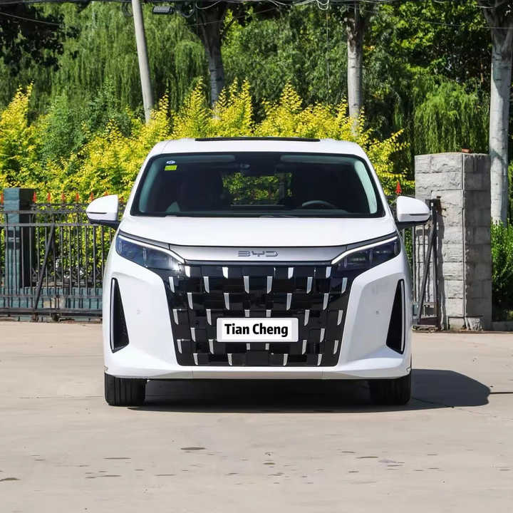 2025 BYD M9 7 Seats Hybrid MVP Version Cheap Car Made in China| Alibaba.com