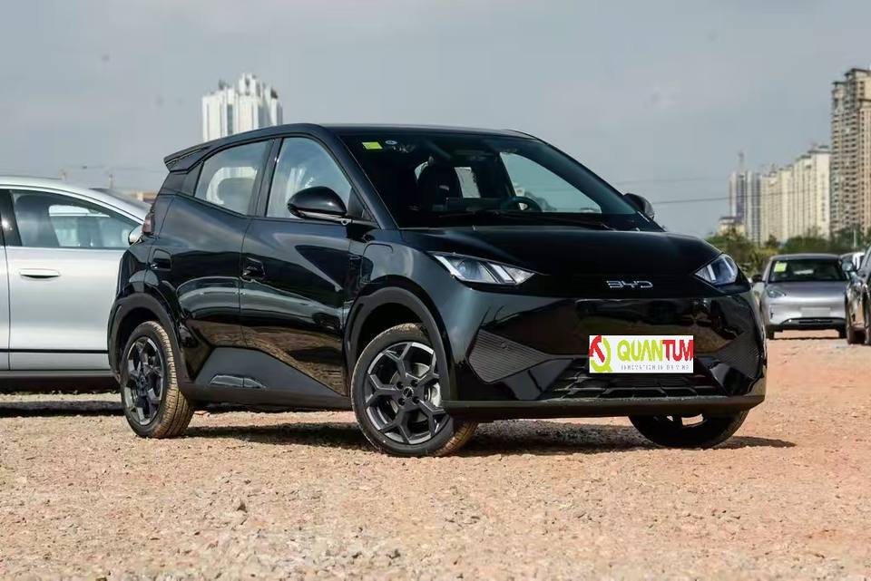 BYD Seagull 2025 Smart Driving Edition 405KM Flying Version - L2 ...