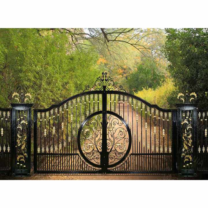 Durable Driveway Gate Metal Main Gate Swing Front Entry