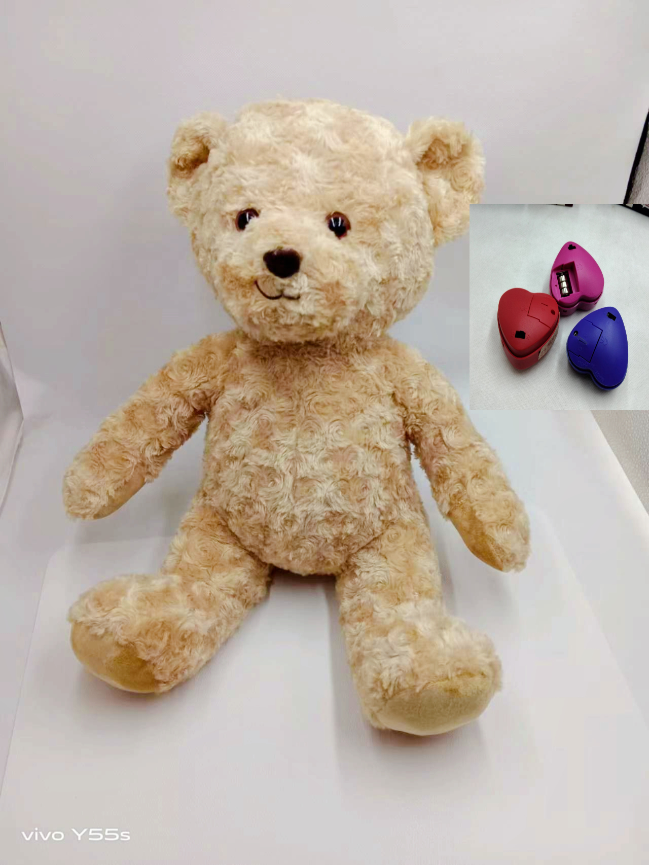 Premium Quality Sound with Advanced 60 second voice recorder stuffed ...