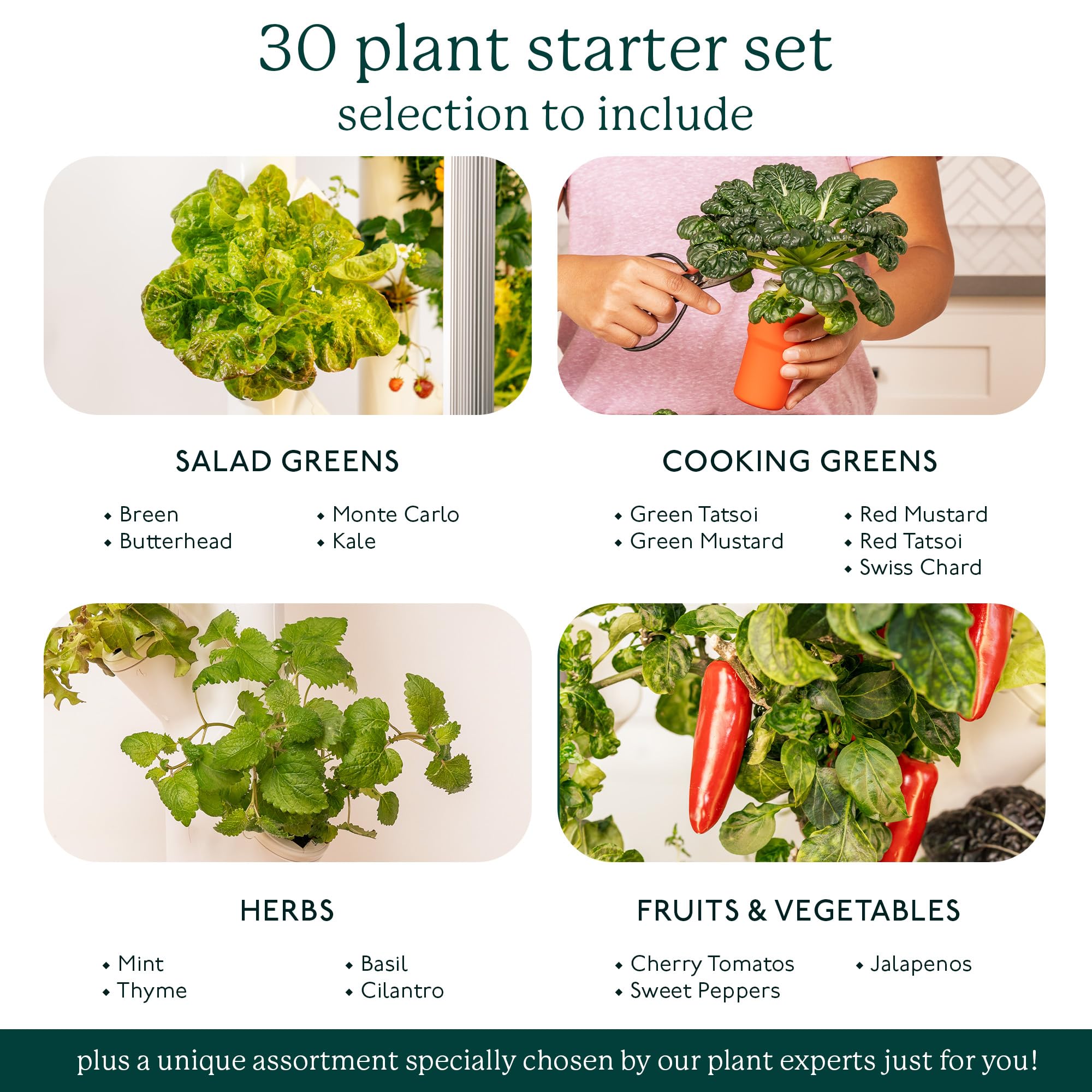 How to Choose the Best Desktop Hydroponic System for Indoor Gardening