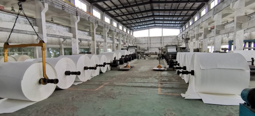 How to Choose Sugar Bagasse Pulp: A Complete Buying Guide