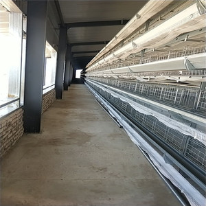 Sturdy Spacious simple poultry house design for layers for Varied ...
