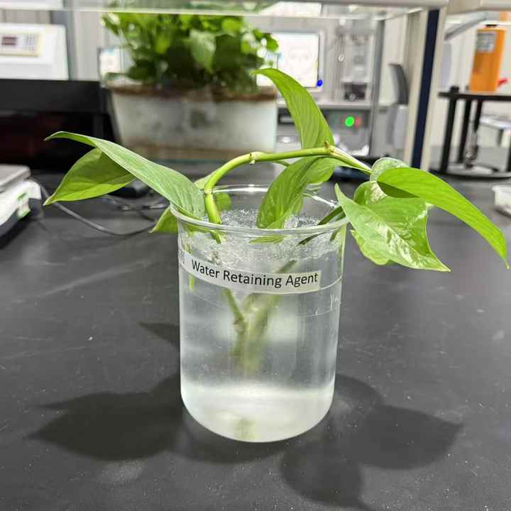 Water-retaining Agent for Improving Soil Moisture with Long Service ...