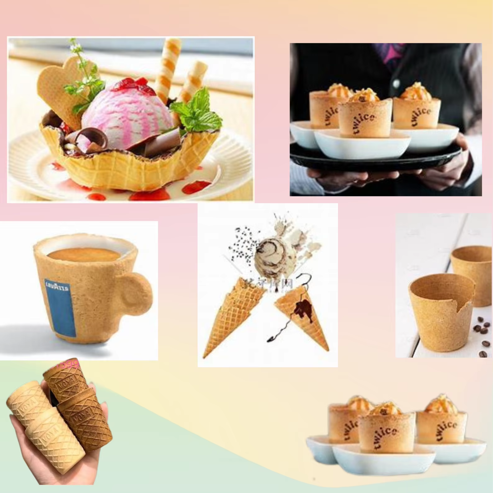 How to Choose the Best Edible Coffee Cup: A Complete Buying Guide