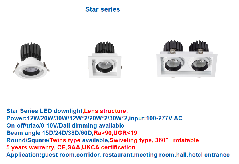 Lighting Solutions - Efficient Double-Headed LED Downlights